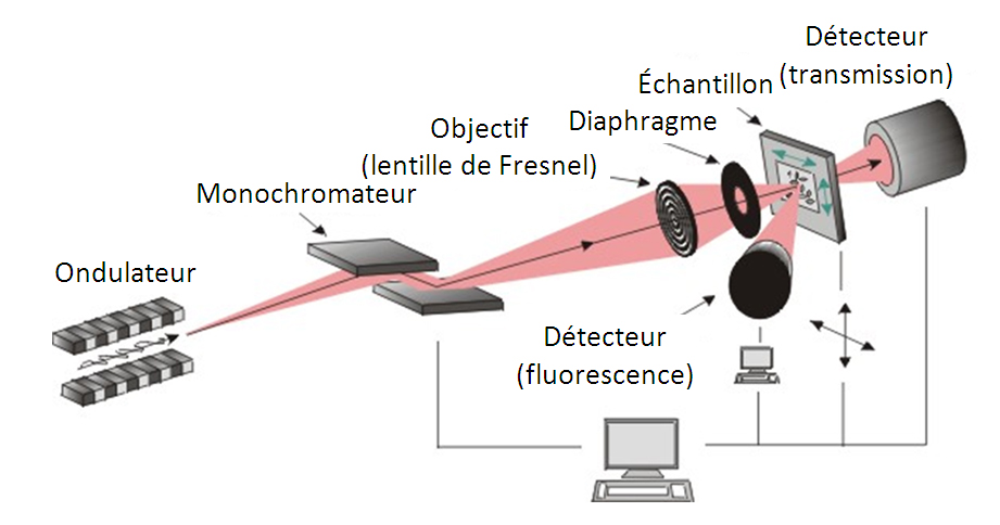Différents types de microscopes et la physique qu’il y a derrière ...