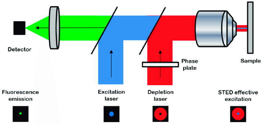 Différents types de microscopes et la physique qu’il y a derrière ...